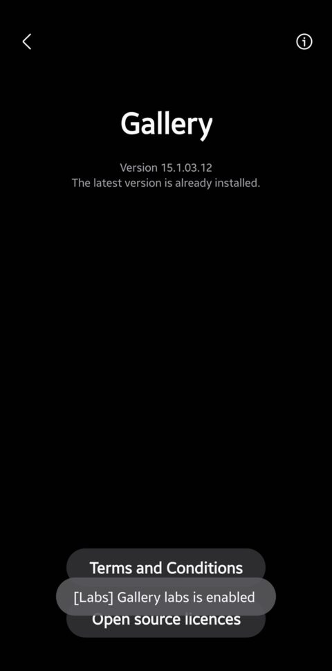 Unlock Hidden Features: A Complete Guide to Samsung Gallery Labs ...