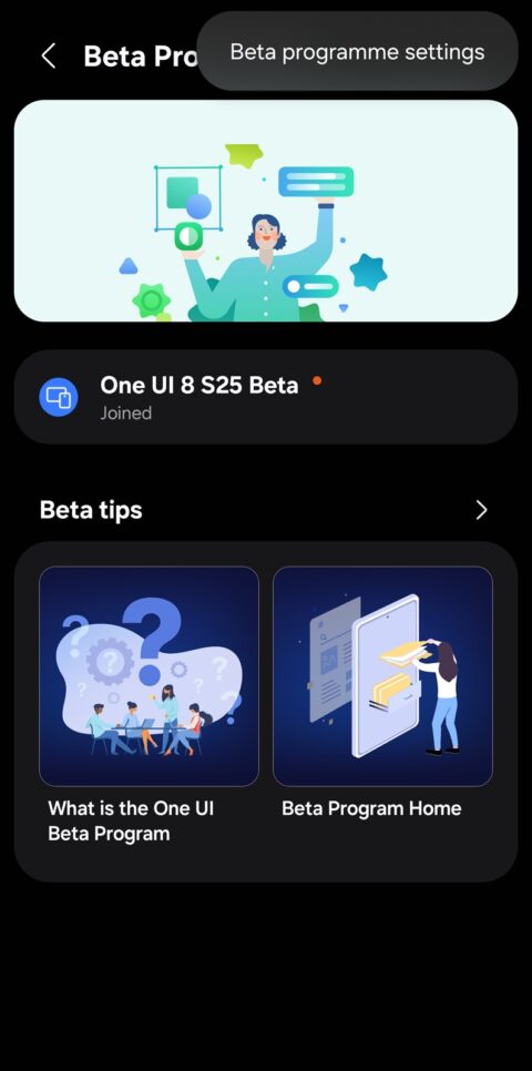 How to Leave One UI 8 Beta and Return to Stable Version - SammyGuru